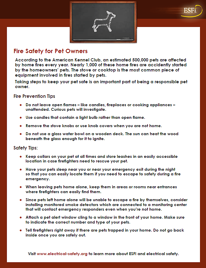 Fire Safety for Pet Owners Fact Sheet - Electrical Safety Foundation