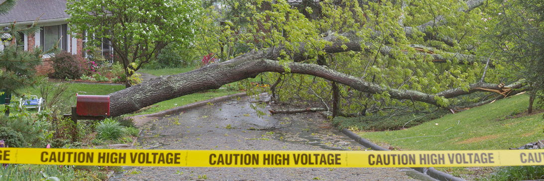 ESFI Urges Emergency Preparedness Ahead of 2025 Hurricane Season ...